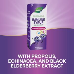 Nature's Way Sambucus Elderberry Immune Syrup for Kids Ages 2+, with Echinacea & Propolis, Daily Immune Support*, Vegetarian, Berry Flavored, 8 Fl Oz (Packaging May Vary)