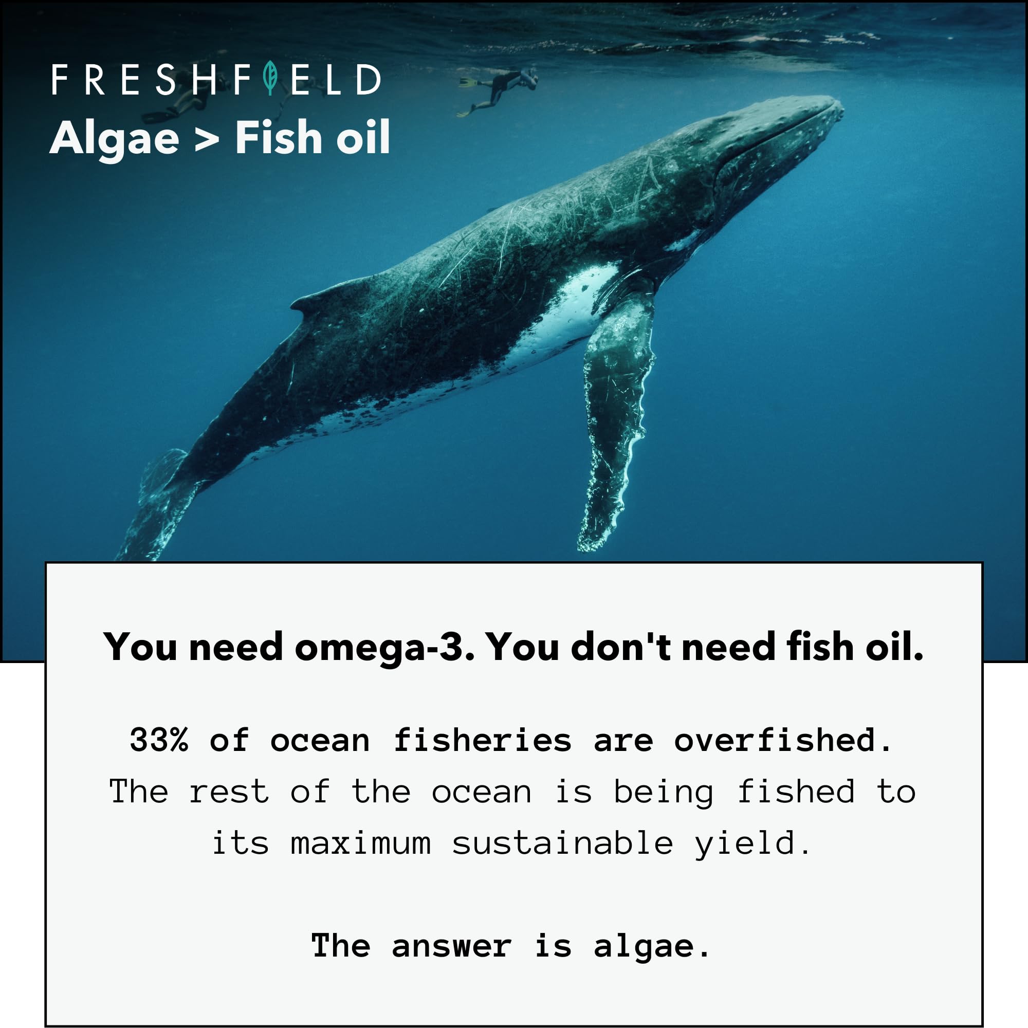 Freshfield Vegan Omega 3 DHA: Sustainably Sourced, Premium, Carrageenan Free, Compostable Bottle, Fish Oil Replacement, Carbon Neutral. Supports Heart, Brain, Joint Health w/DPA (60)