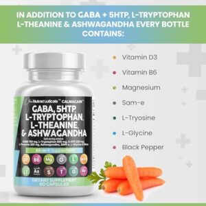 Clean Nutraceuticals GABA 750mg 5 HTP 200mg L Tryptophan 500mg L Theanine 200mg Ashwagandha 3000mg SAM-e L-Glycine - Mood Support Vitamins for Women and Men with L-Tyrosine - Count