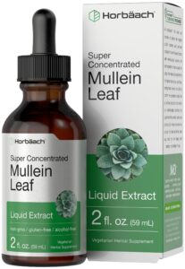 horbäach mullein leaf tincture drops | 2 fl oz | alcohol free liquid extract | vegetarian, non-gmo & gluten free herbal supplement