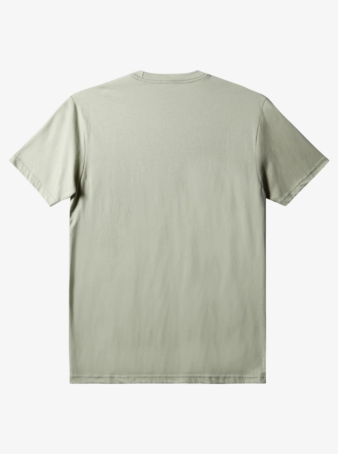 Quiksilver Men's Comp Logo Tee Shirt, Desert Sage, Medium