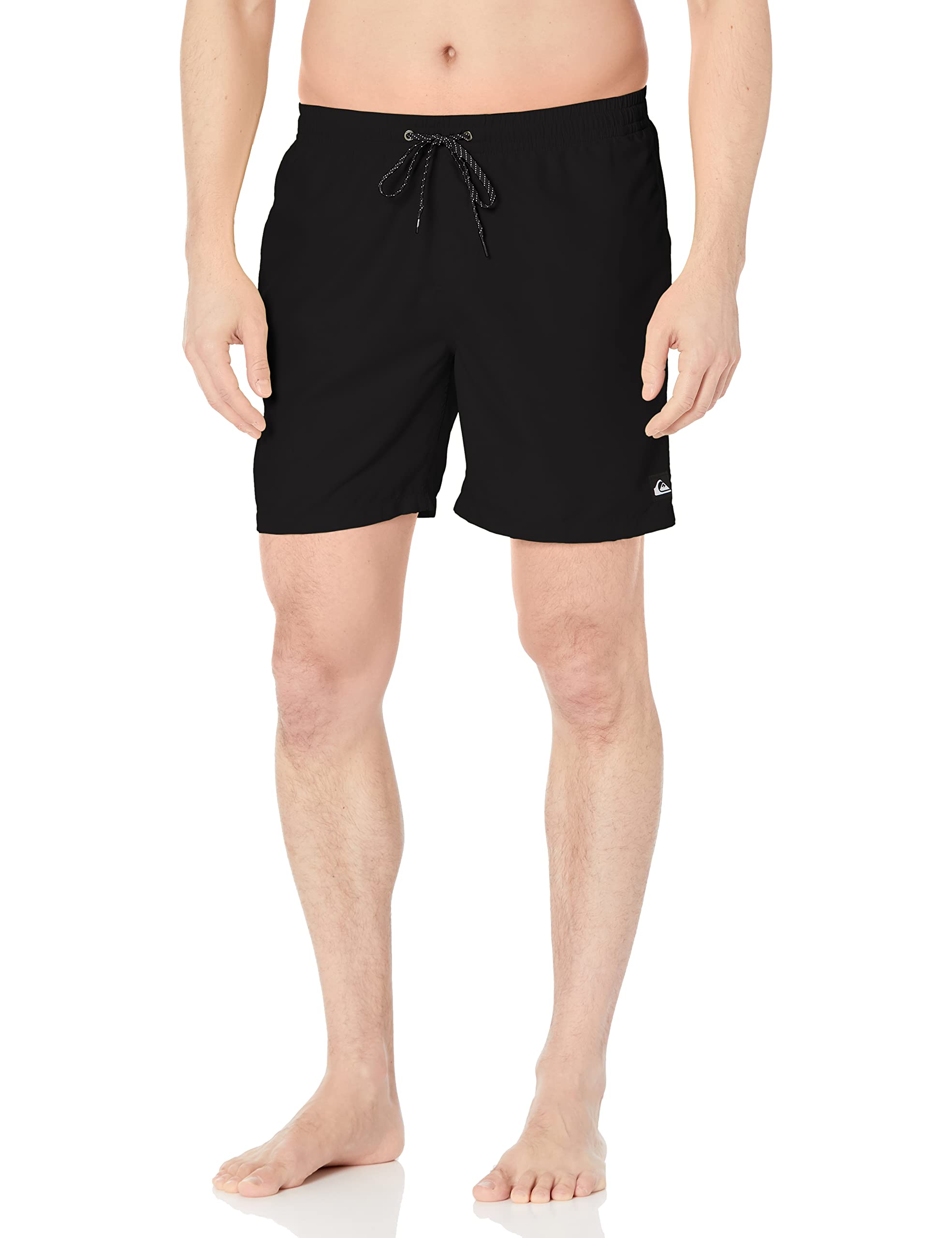 Quiksilver Men's Standard Everyday 17 Volley Swim Trunk Bathing Suit, Black, Large