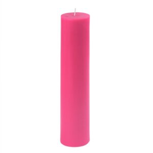 zest candle cpz-2913_12 12-piece pillar candle, 2" x 9", hot pink