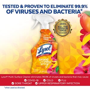 Lysol All-Purpose Cleaner, Sanitizing and Disinfecting Spray, To Clean and Deodorize, Mango & Hibiscus Scent, 32oz