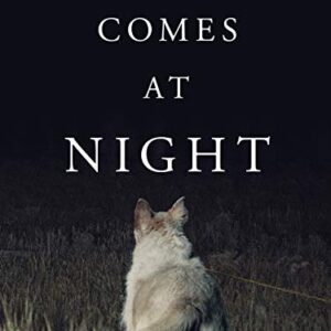 It Comes At Night