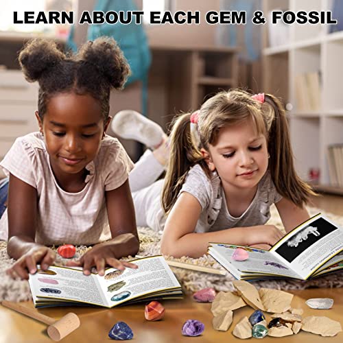 CAPKIT 15Pcs Gemstone Dig Kit, STEM Educational DIY Toys Science Gem Dig Kit, Dig Up 15 Unique Gemstones, Rock Digging Kit for Kids, Archaeology- Best Gifts for Boys Girls Kid Toys