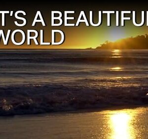 It's A Beautiful World