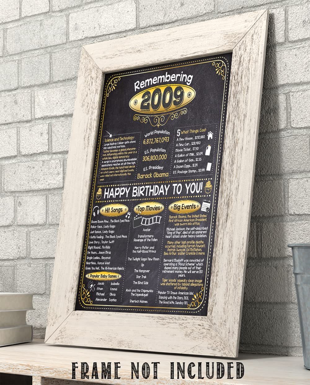 15th Birthday Party Decorations for 15th Birthday (Fifteen) - Remembering The Year 2009 - Party Supplies - Gifts for Men and Women Turning 15 - Back In 2009 Birthday Card 11x14 Unframed Print