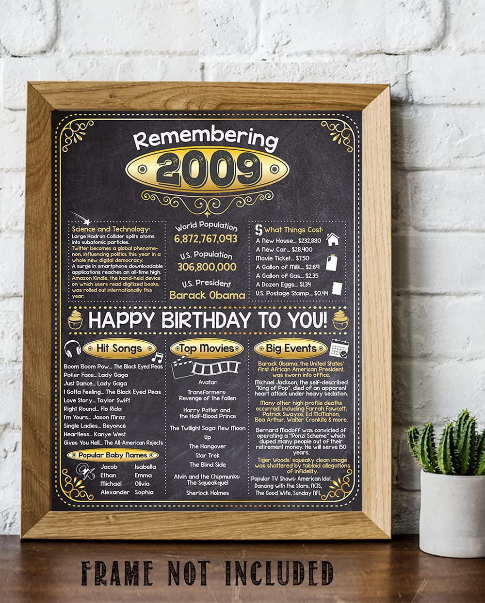 15th Birthday Party Decorations for 15th Birthday (Fifteen) - Remembering The Year 2009 - Party Supplies - Gifts for Men and Women Turning 15 - Back In 2009 Birthday Card 11x14 Unframed Print