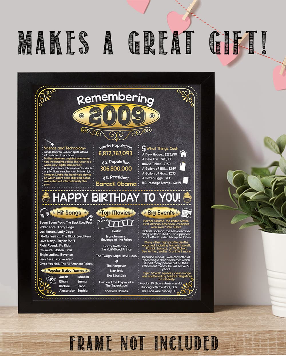 15th Birthday Party Decorations for 15th Birthday (Fifteen) - Remembering The Year 2009 - Party Supplies - Gifts for Men and Women Turning 15 - Back In 2009 Birthday Card 11x14 Unframed Print