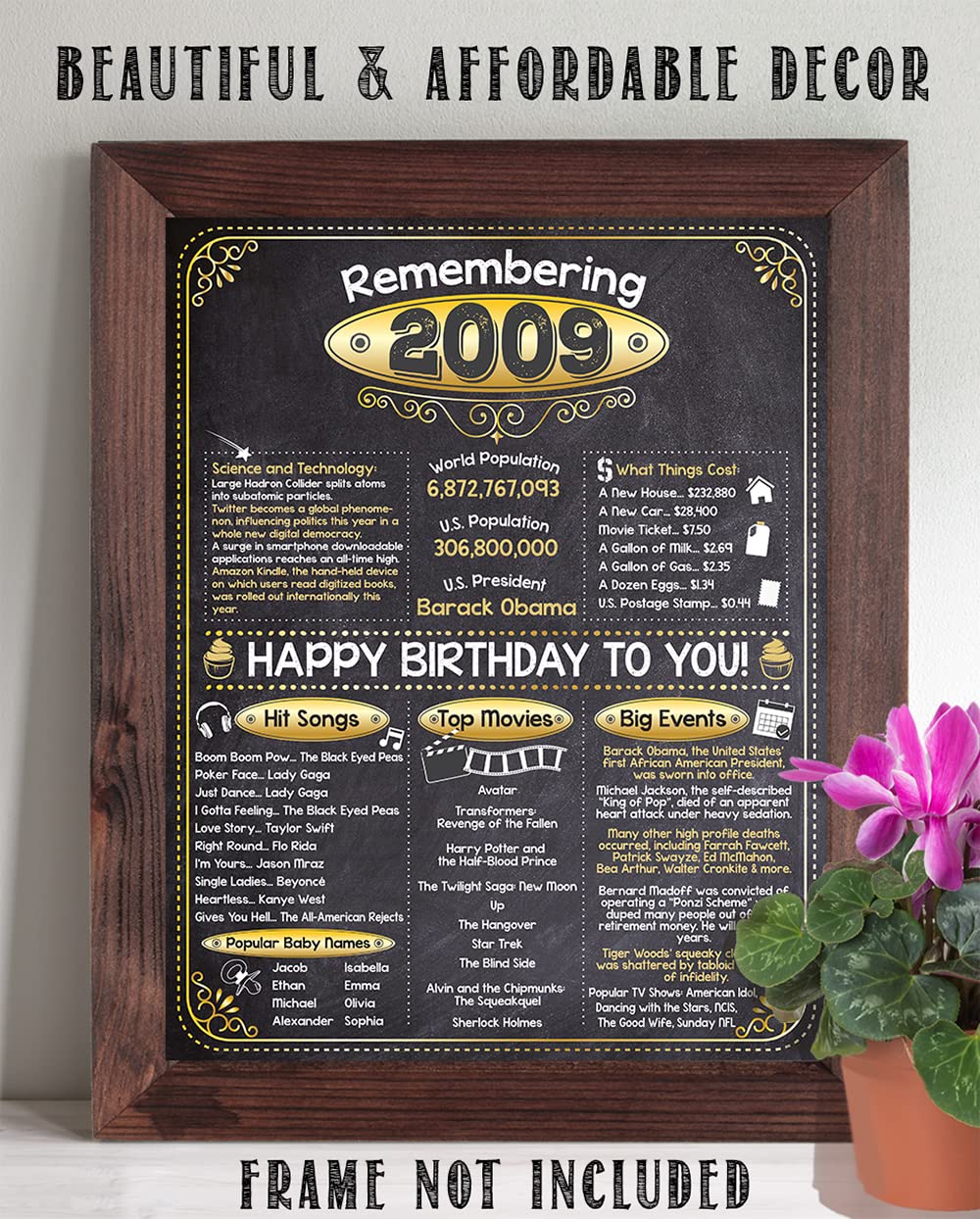 15th Birthday Party Decorations for 15th Birthday (Fifteen) - Remembering The Year 2009 - Party Supplies - Gifts for Men and Women Turning 15 - Back In 2009 Birthday Card 11x14 Unframed Print