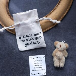 Good Luck Gift, Pocket Bear, Lucky Souvenir Gift, Miss You Gift, Gifts of Encouragement, Good Luck in Exams,Congratulations Graduation Gift.