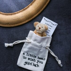 Good Luck Gift, Pocket Bear, Lucky Souvenir Gift, Miss You Gift, Gifts of Encouragement, Good Luck in Exams,Congratulations Graduation Gift.