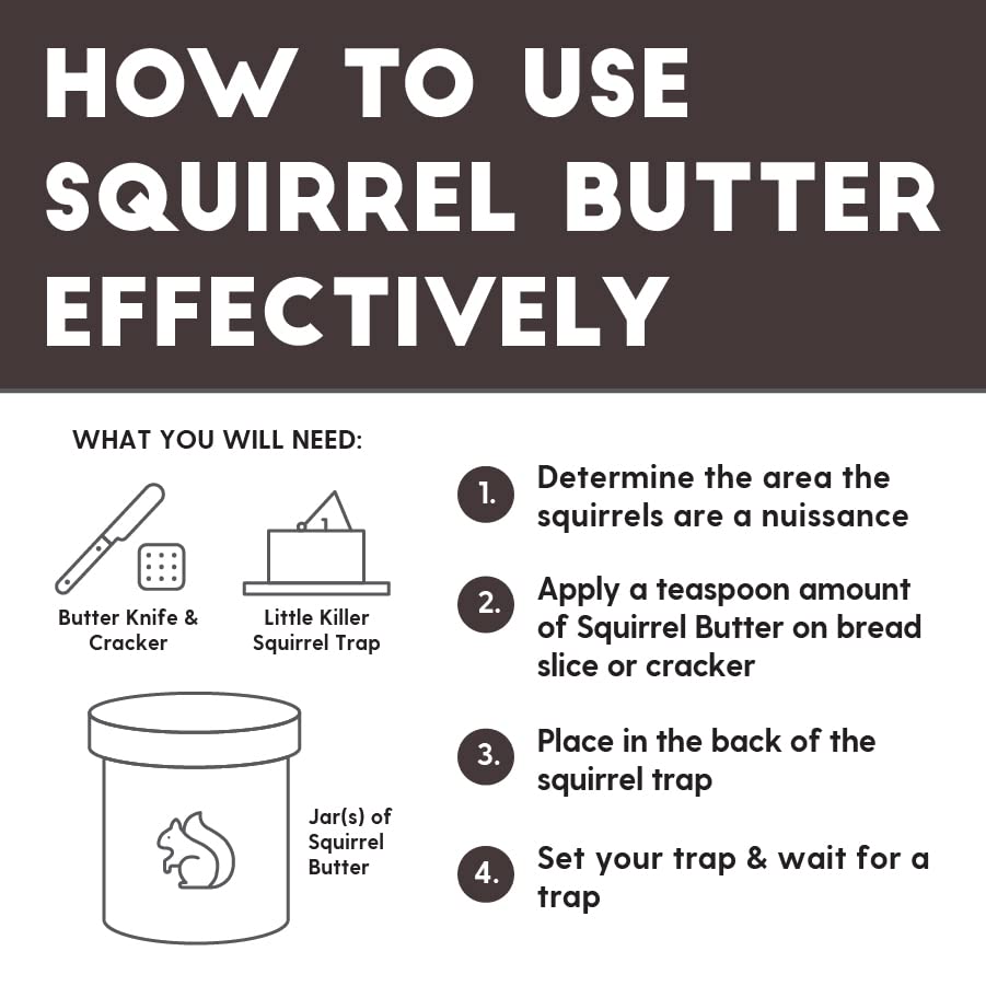 Squirrel Butter Paste Bait 8 Ounce | Irresistible Sweet Scented & Highly Attractive Lure for Red & Grey Squirrels Chipmunks | Good All Season Long