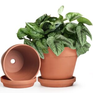 ingofin terracotta pots set with saucer - 2-pack ceramic clay planters with drainage hole, garden flower succulent pots with tray for indoor outdoor plants, 8 inch, set of 2