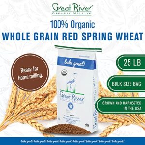 Great River Organic Milling, Whole Grain, Hard Red Spring Wheat, Organic, 25-Pounds (Pack of 1)