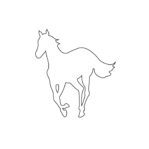 white pony