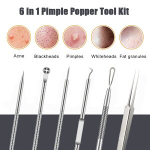 Pimple Popper Tool Kit, 6 Pcs Blackhead Remover Acne Needle Tools Set Removing Treatment Comedone Whitehead Popping Zit for Nose Face Skin Blemish Extractor Tool - Silver