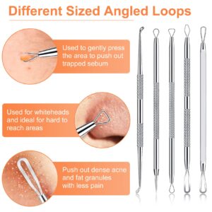 Pimple Popper Tool Kit, IUMAKEVP 15 PCS Professional Stainless Steel Blackhead Remover Comedone Extractor Tools for Removing Zit on Face - Acne Removal Kit with Metal Case (Silver)