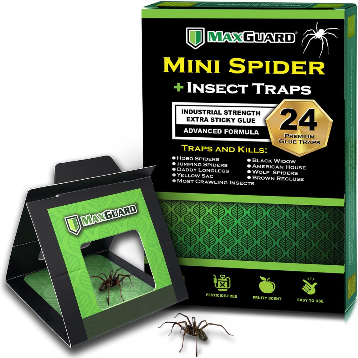 MaxGuard Mini Spider + Insect Traps (24 pcs Box Trap) | Non-Toxic Extra Sticky Glue Traps | Trap and Kill Hobo Spiders, Black Widow Spiders, Brown Recluse Spiders and Crawling Bugs |