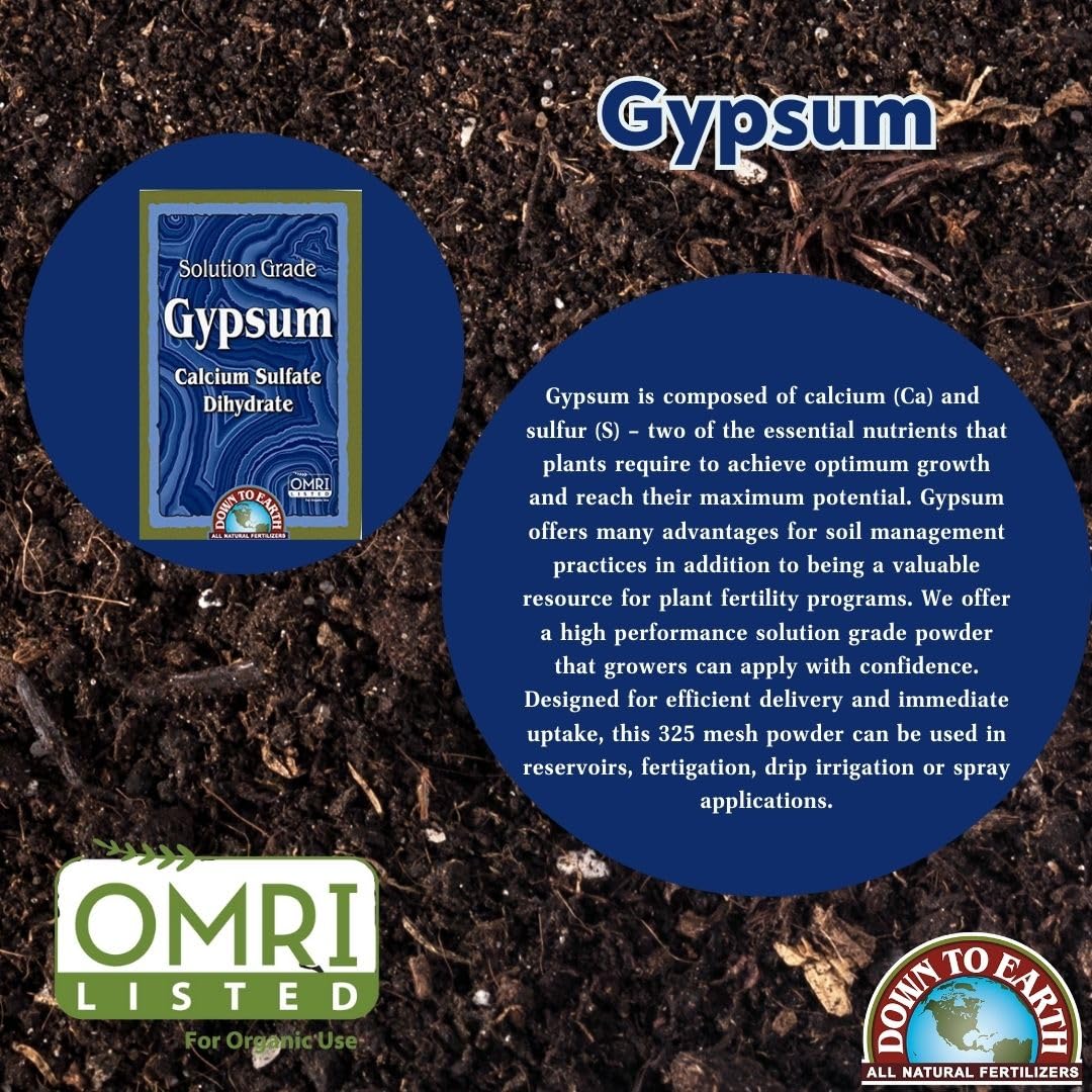 Down to Earth OMRI Organic Solution Grade Gypsum, 1 lb