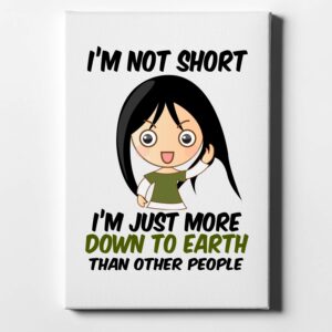 i'm not short i'm just more down to earth - 11" x 14" - decorative canvas wall art - white edge - 5/8" gallery wrapped