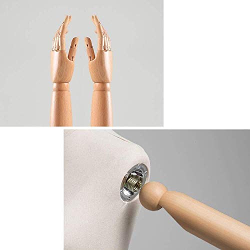 Mannequin Torso Mannequin Dress Form Torso Female Mannequin Dressmakers Dummies Fashion Students Display Bust with Metal Base Height Adjustable for Clothing Show (Gold Small)