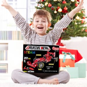 Ferthor Fun Building Car Metal Model Kits,STEM Building Toys Model Car Kits for Boys 8-12,Erector Set 1:20 Scale Red Racing Car Metal Building Blocks for Kids Boys 8 9 10 11 12-16 Years Old