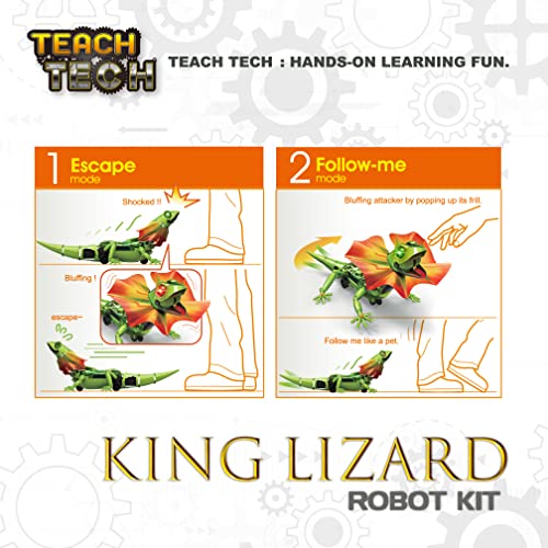 Elenco Teach Tech King Lizard, Interactive Lizard Robot Kit, STEM Creative Toys for Kids 10+ includes Assembly Parts