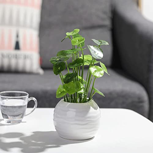 Classic Artificial Plants Decor Fake Plant Mini Artificial Green Potted Artificial Plant with Potted Desk Home Bedroom Bathroom Rack Farmhouse Office Table House Window Sill Decoration Fake Potted Pla