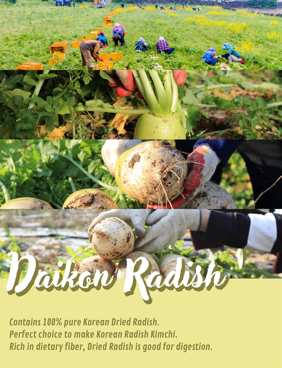 Korean Premium Dried & Sliced Daikon Radish 6 Ounce from Jeju Island, Korea 170 gram for Kimchi and Tea