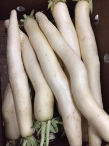 daikon radish avg 5 lb case - mild, crunchy vegetable for gourmet dishes, bulk supply for culinary professionals, available year-round