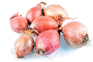 french shallots 1 lb.