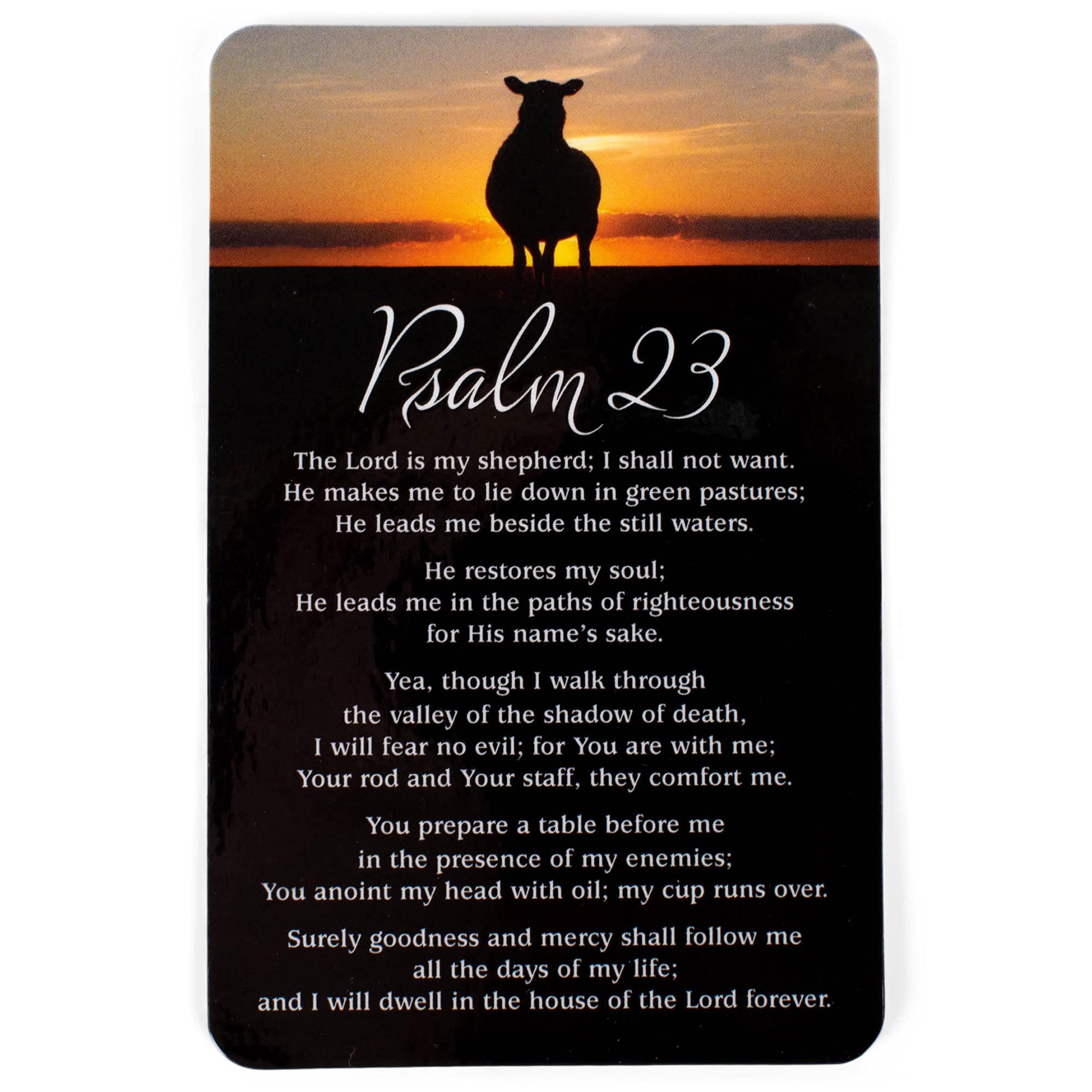 Dicksons Lord is My Shepherd Sunset 3.5 x 2.5 Cardstock Keepsake Bookmarks Pack of 12