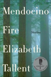 mendocino fire: stories