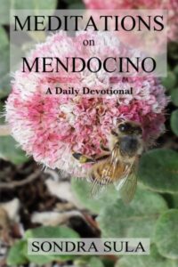 meditations on mendocino: a daily devotional