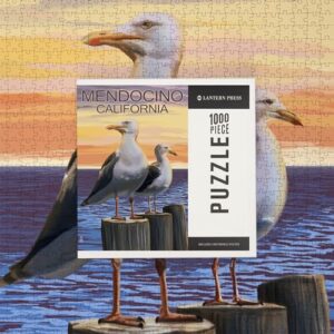 Lantern Press 1000 Piece Jigsaw Puzzle, Mendocino, California, Sea Gulls