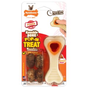 nylabone chew & treat toy for dogs - interactive dog enrichment chew & treat toys