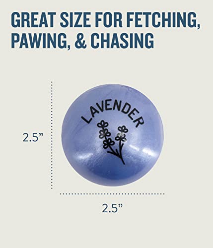 Planet Dog Orbee-Tuff Essentials Lavender Scented Interactive Dog Ball Treat Dispenser Toy, Purple