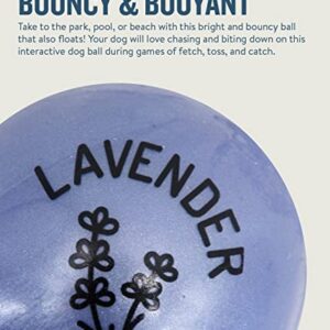 Planet Dog Orbee-Tuff Essentials Lavender Scented Interactive Dog Ball Treat Dispenser Toy, Purple