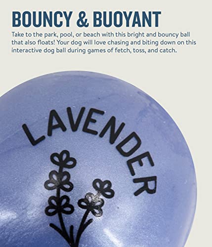 Planet Dog Orbee-Tuff Essentials Lavender Scented Interactive Dog Ball Treat Dispenser Toy, Purple