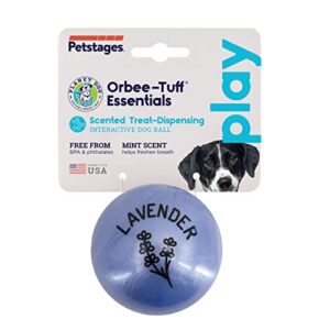 Planet Dog Orbee-Tuff Essentials Lavender Scented Interactive Dog Ball Treat Dispenser Toy, Purple