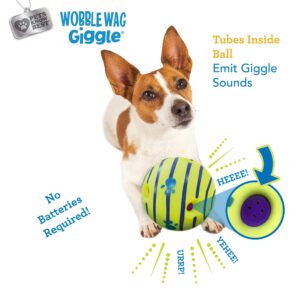 Wobble Wag Giggle Ball 2 Pack- Interactive Dog Toy, Fun Giggle Sounds When Rolled or Shaken, Pets Know Best, 1 Original & 1 Glow in The Dark Ball