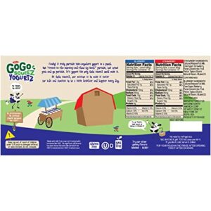 Gogo Squeez Yogurtz Variety Pouches - Real Yogurt and Fruit - 10 Blueberry and 10 Strawberry Pouches - Gluten Free, No preservatives and kosher Certified 20 x 3 oz. (4 - Pack)