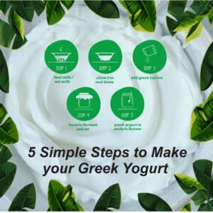 TEMPEHSTATION Greek Yogurt Starter Culture Kit-Culture&hand painted ceramic Handi Lid Dahi/Curd pot|easy to produce large batches 2 gms each sachet|Heirloom|-Strains L. bulgaricus &Streptococcus thermophilus