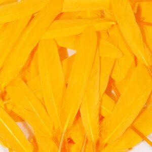 FeelfunFeather 120pcs Golden Yellow Goose Cochettes Feather Natural bulk 4-6 inch 10-15cm for Wedding Party Christmas Halloween Decorations DIY Crafts Goose Cochettes Feather