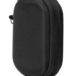 CaseSack case for Beats Flex Wireless Earbuds. Also for Powerbeats High-Performance Wireless Earbuds.