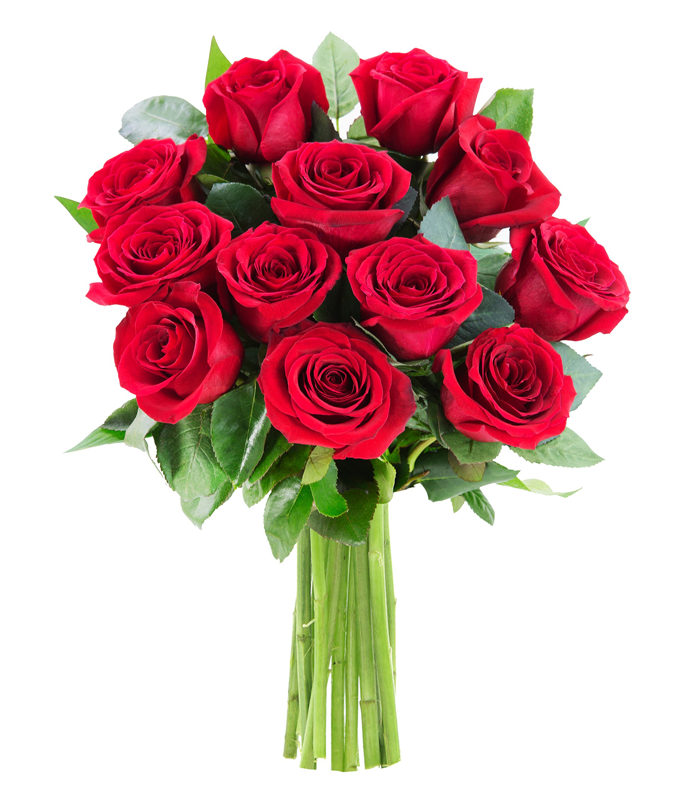 KaBloom PRIME NEXT DAY DELIVERY - Summer Collection - Bouquet of 12 Fresh Red Roses .Gift for Birthday, Anniversary, Get Well, Thank You, Valentine, Mother’s Day Fresh Flowers