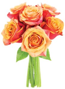 kabloom prime next day delivery - summer collection - bouquet of 6 fresh cut orange roses (farm-fresh, long-stem).gift for birthday, anniversary,valentine, mother’s day fresh flowers