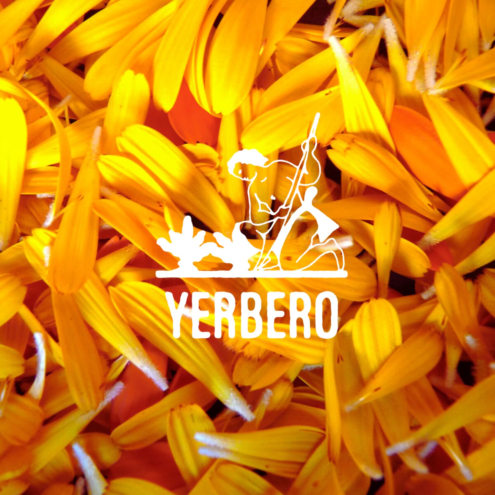 Yerbero - Calendula Flowers Loose Herbal Tea 2oz (56g) | Marigold Flowers | Flores De Calendula | For Brewing Calendula Tea, Culinary Creations, and Natural Edible Purposes | Crafted By Nature100% All Natural Fresh Tea | Non-GMO.